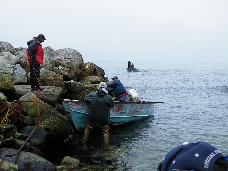 2008 Expedition/Aug 08 - 2nd Half Bering Crossing to Wales/Bering ...